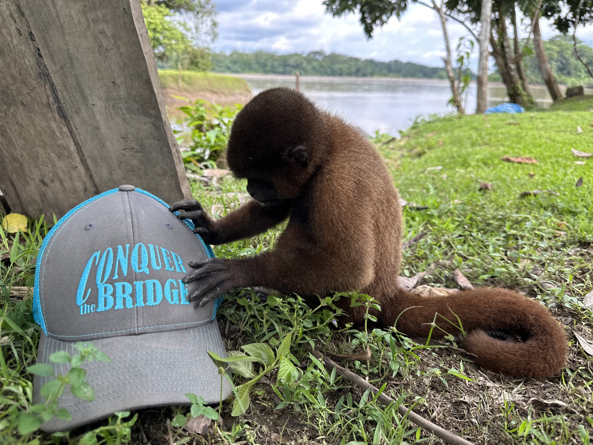 About us – Conquer the Bridge