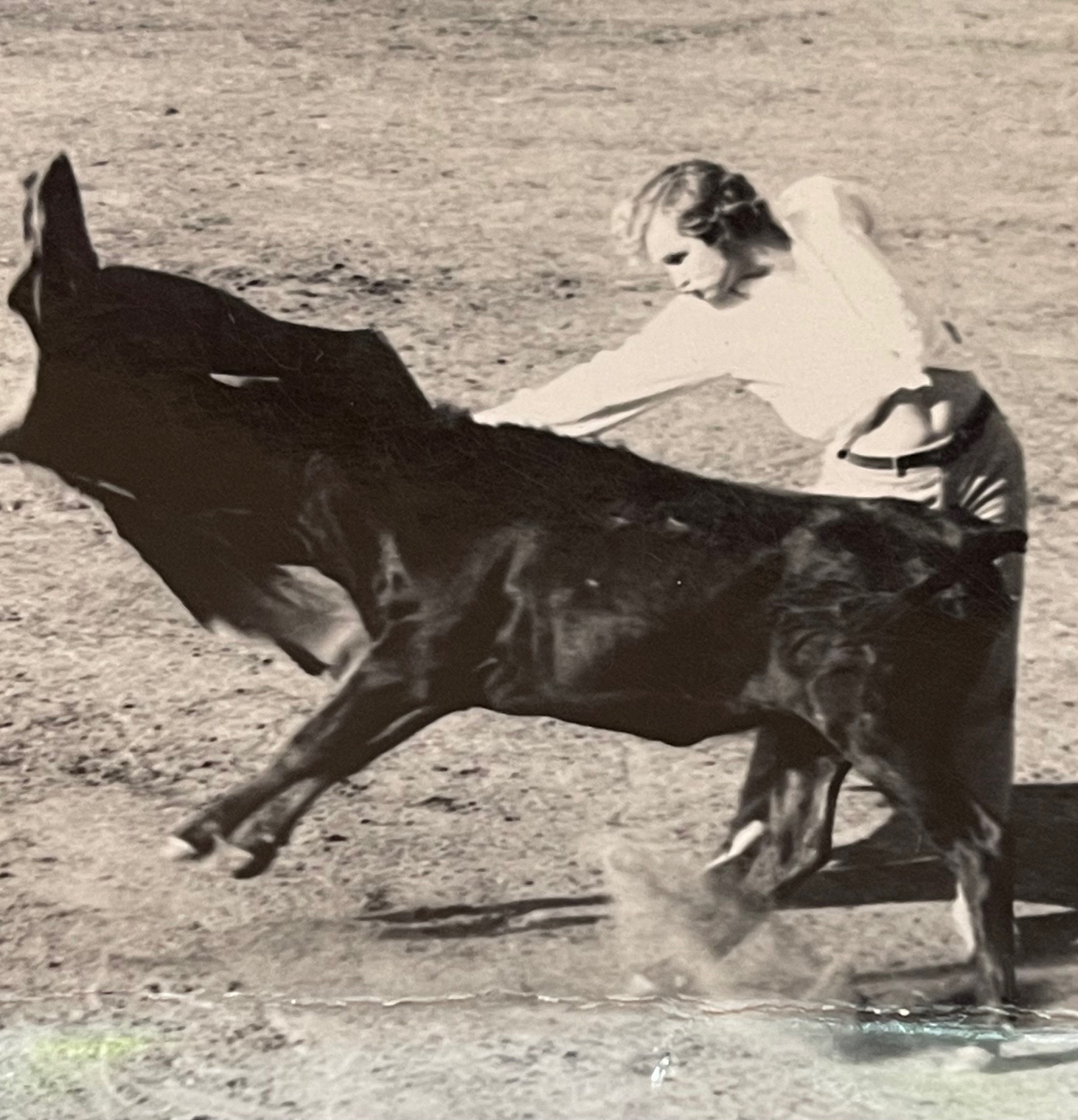 About us – Conquer the Bridge